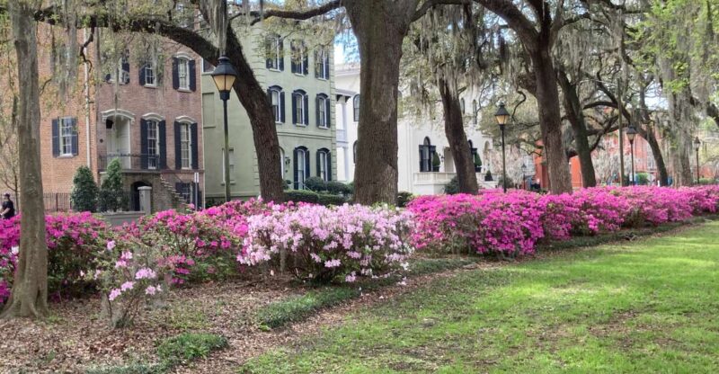 Savannah: Highlights Off the Beaten Path Guided Walking Tour - The Itinerary and Highlights