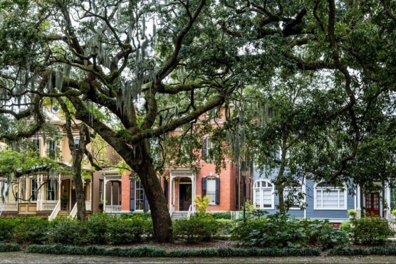 Savannah: Historical Panoramic City Tour - Who Will Love This Tour?