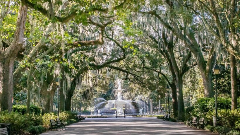 Savannah: History, Culture, & Scenic Views E-Bike Tour - A Deep Dive into Savannah’s E-Bike Tour