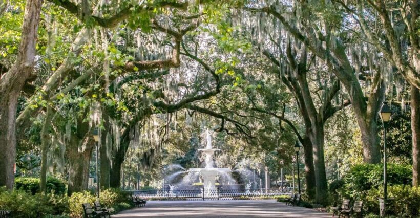 Savannah: History, Culture, & Scenic Views E-Bike Tour - Final Thoughts: Who Will Love This Tour