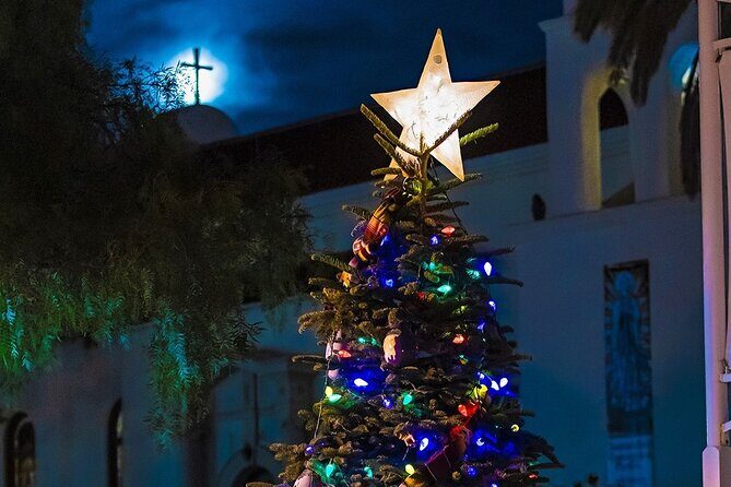 Savannah Holiday Sights and Festive Nights Trolley Tour - A Detailed Look at the Savannah Holiday Sights and Festive Nights Trolley Tour