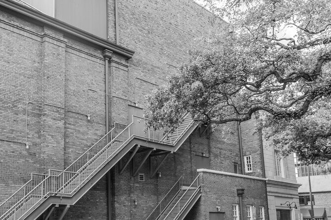Savannah Photography Tour led by a Local Photographer - Exploring Savannah Through Your Lens: What to Expect