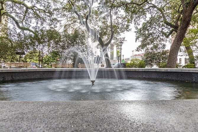 Savannah Photography Tour led by a Local Photographer - Why Choose This Tour?