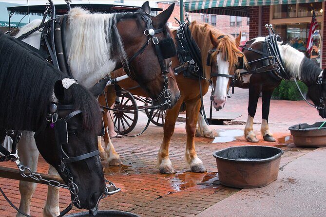 Savannah Scavenger Hunt Walking Tour and Game - Frequently Asked Questions