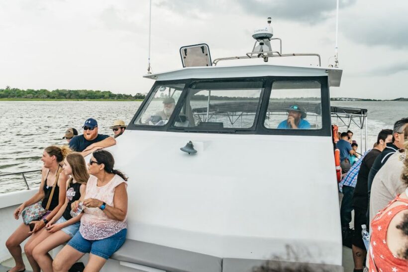 Savannah: Tybee Island Dolphin Tour - Starting Point and Transportation