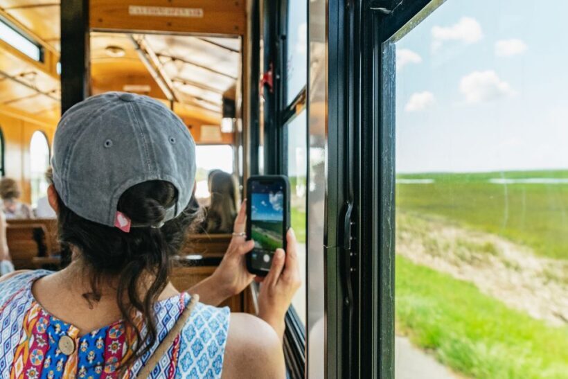 Savannah: Tybee Island Dolphin Tour - Extra Time at North Beach