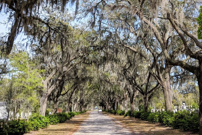 Savannah VIP Tour: Private Full-Day Tour - Analyzing the Value