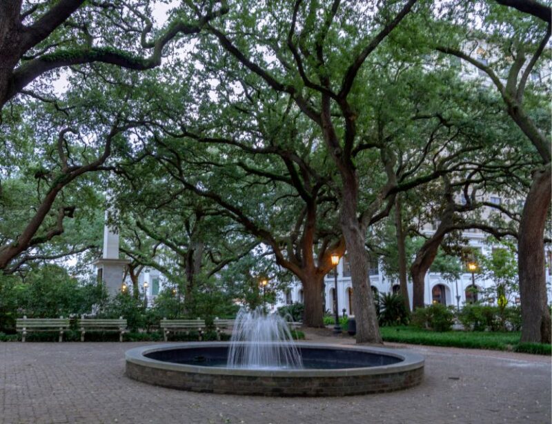 Savannah: 'We Shall Overcome' Black History Walking Tour - The Value of the Experience