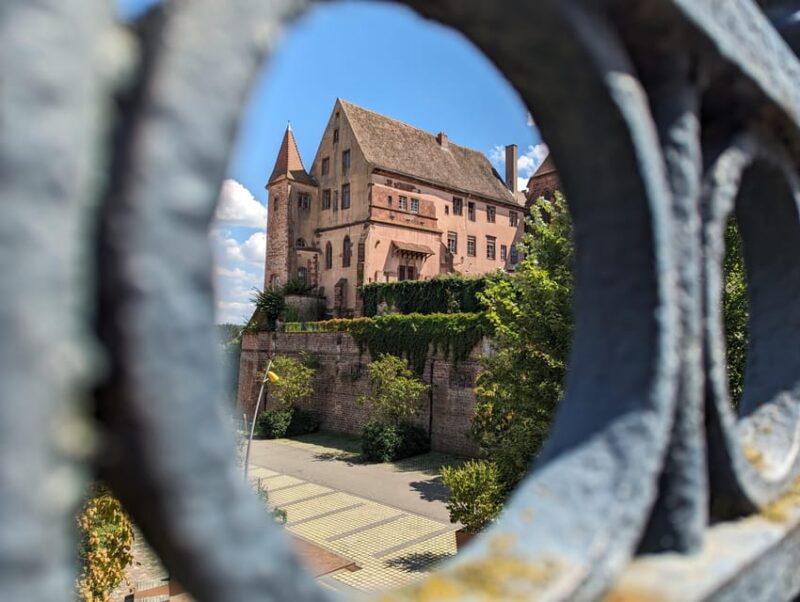 Saverne : Highlights Walking Tour - What to Expect During the Tour