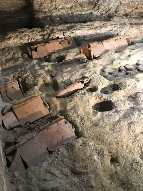 Savona: Guided tour of the Civic Museum of Archaeology and the City of Savona - The Sum Up