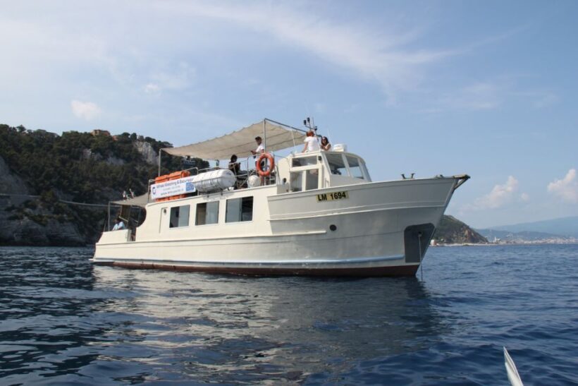 Savona: Pelagos Sanctuary Wildlife Cruise with Guide - Final Thoughts: Is It Worth It?