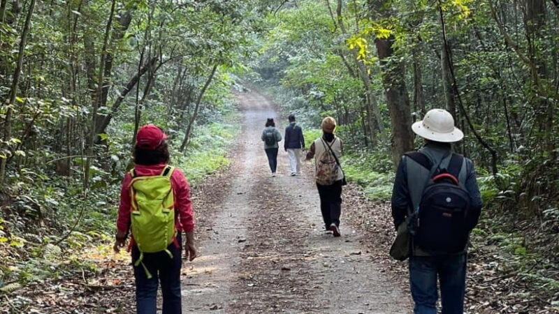 Savor Cat Ba Island adventure 2 days 1 night - Final Thoughts: Who Is This Tour Best For?