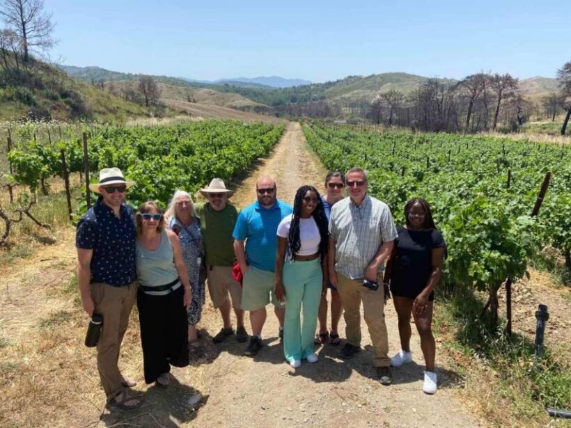 Savor Rhodes: 11-Dish Wine Pairing and Cooking Adventure - The Sum Up: Who Will Love This Experience?