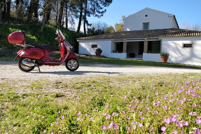 Savour The Flavors Of Corfu Vespa Scooter Tour - Meeting Point and Schedule