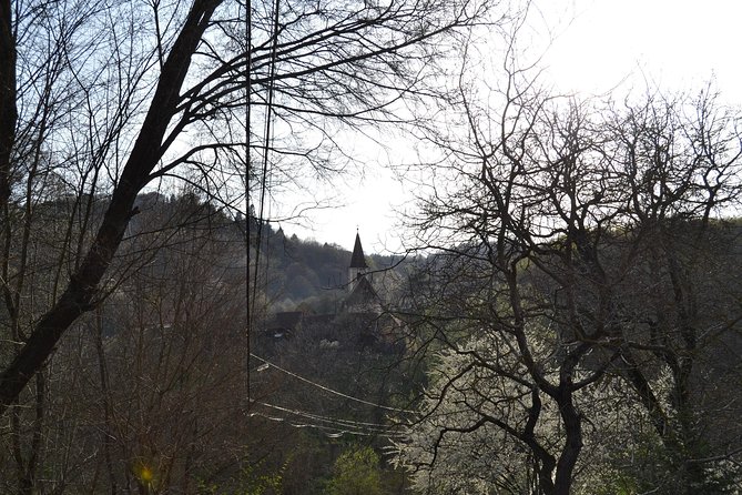 Saxon Heritage in Transylvania: Day Trip from Cluj-Napoca - Practical Considerations and Value