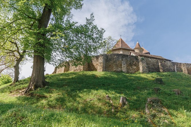 Saxon Secrets: The Malancrav & Biertan Experience - The Value of Guided Transportation and Group Size