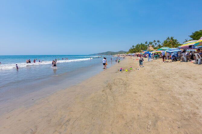 Sayulita And San Pancho Beachs Tour - Transportation and Group Size