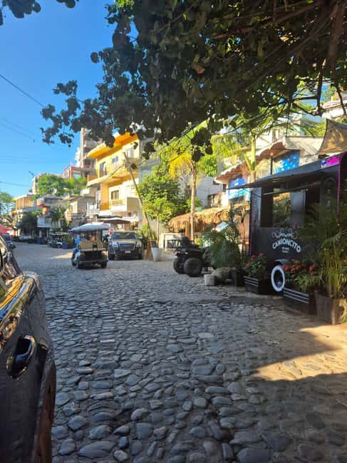 Sayulita: Electric Cart Rental - Who Should Consider This Tour?