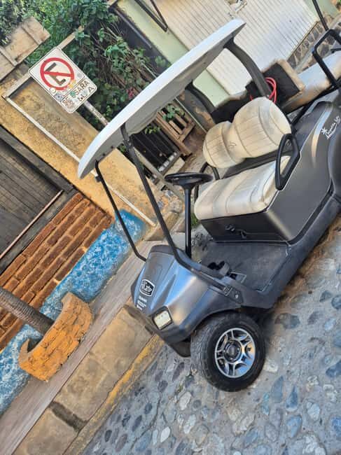 Sayulita: Electric Cart Rental - Final Thoughts