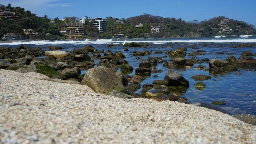 Sayulita: Guided Tour of the City - What Makes This Tour Stand Out