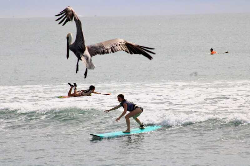 Sayulita: Surf Lessons for Beginner/Intermediate/ Advance - Why This Tour Stands Out