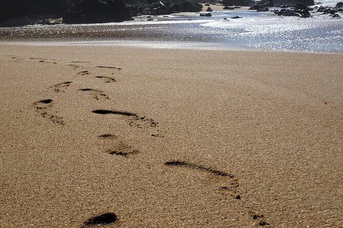 Sayulita Surfer Beach Town and Zarandeado with Seafood Grill - FAQs