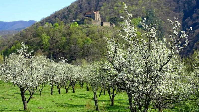 SB13 - Sibiu: Private Day Trip to Transylvanian Villages - What the Tour Includes and Why It Matters