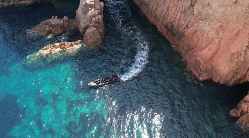 Scandola: visit the nature reserve from Porto (France) - What Makes This Tour Stand Out