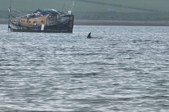 Scapa Tours - Final Verdict