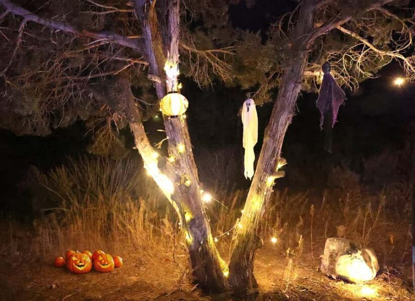 Scary Movie Night in the Desert - Key Points