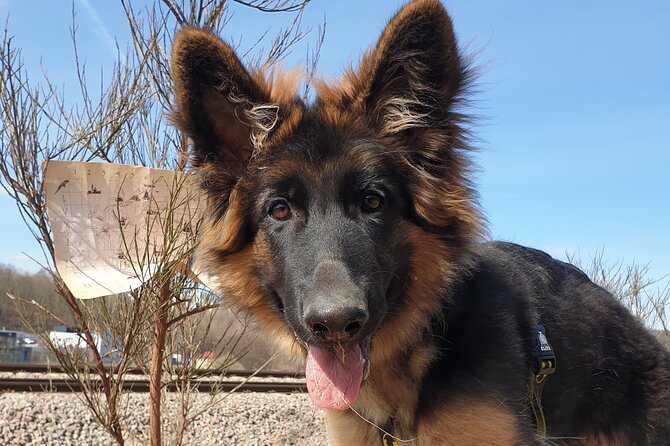 Scavenger Hunt in Gdask, Poland - Why This Tour Is Worth Considering