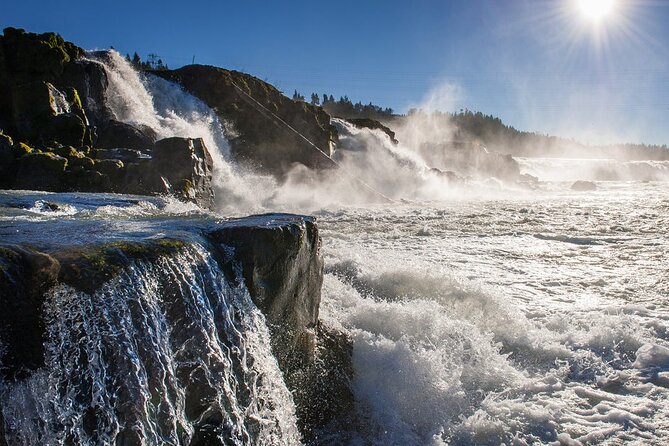 Scenic 2-Hour River Cruise to the Majestic Willamette Falls! - Who Should Consider This Tour?