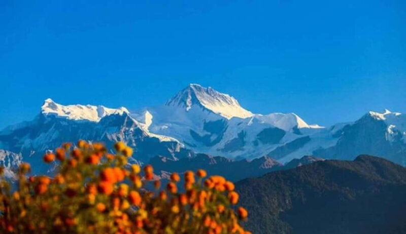 Scenic Adventure: Group Joining 2-Day Poon Hill Trek Tour - The Details that Matter