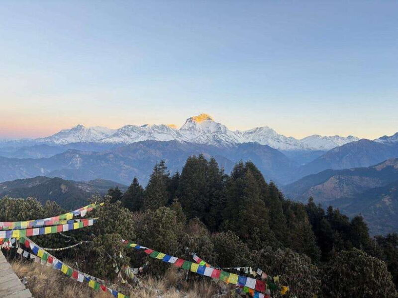 Scenic Adventure: Group Joining 2-Day Poon Hill Trek Tour - What Past Travelers Say