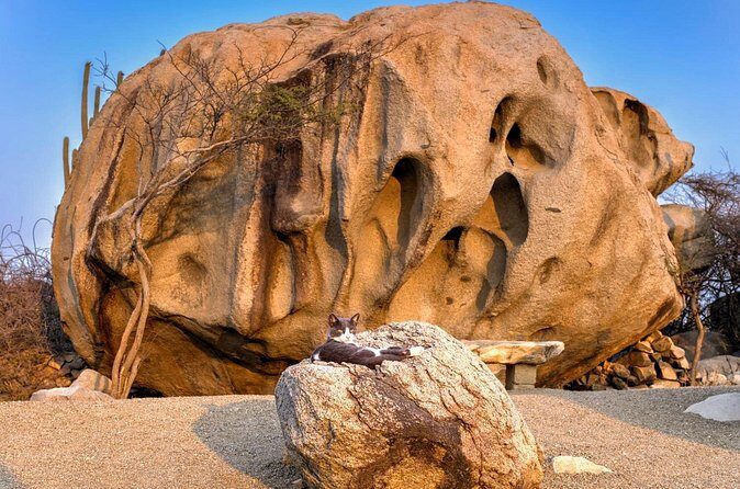 Scenic Aruba Self-Guided Driving and Walking Audio Tour - Who Will Love This Tour?