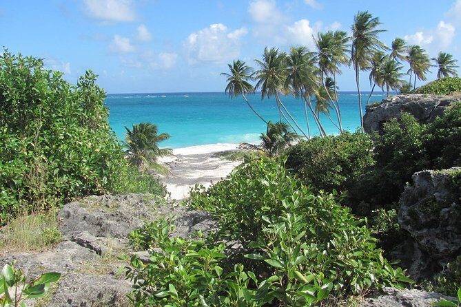 Scenic Barbados Coast To Coast Half-Day Tour - Why This Tour Might Be Perfect for You