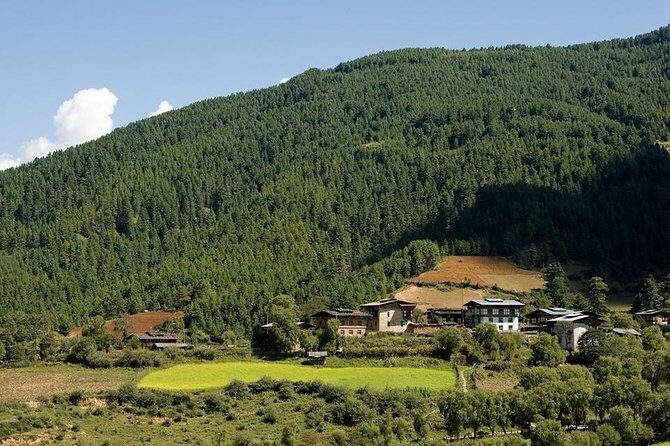Scenic Bhutan Guided Multi-Day Tour with Airport Pickup - Final Thoughts