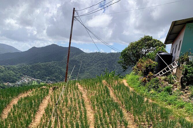 Scenic City Tour - What to Expect from the Scenic City Tour