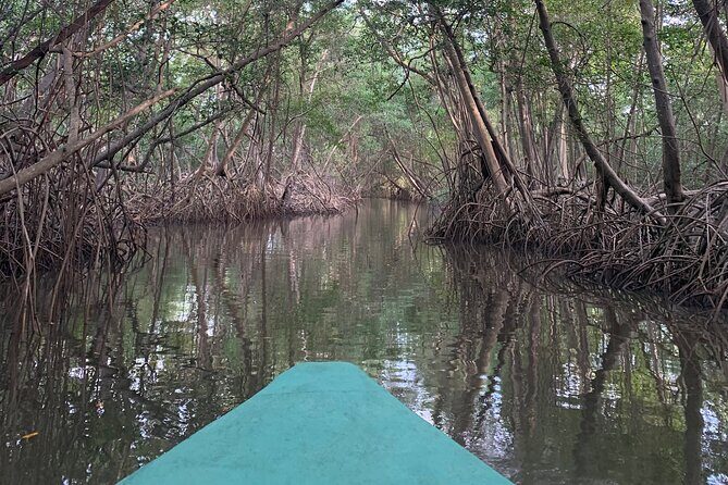 Scenic City Tour - Final Thoughts