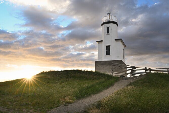 Scenic Coast and Wildlife Tour - Exploring the Scenic Coast and Wildlife Tour in Detail