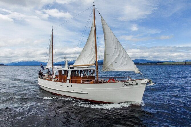 Scenic Cruise & Guided Walk on Historic Motor Yacht Lake Te Anau - Introduction: Why This Tour Stands Out