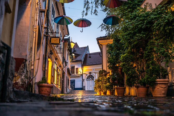 Scenic Danube River Bend Hills & the Art Town: Private Car Tour - Exploring Visegrads Castle Ruins