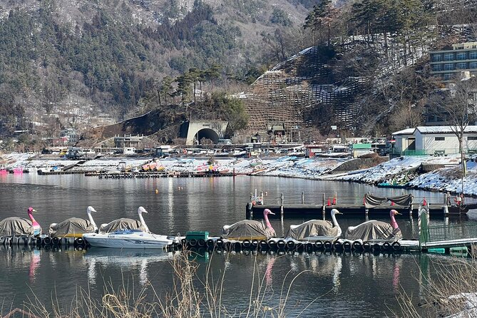 Scenic Day Tour of Hakone and Mount Fuji Private Tour (English) - Pickup and Meeting Points