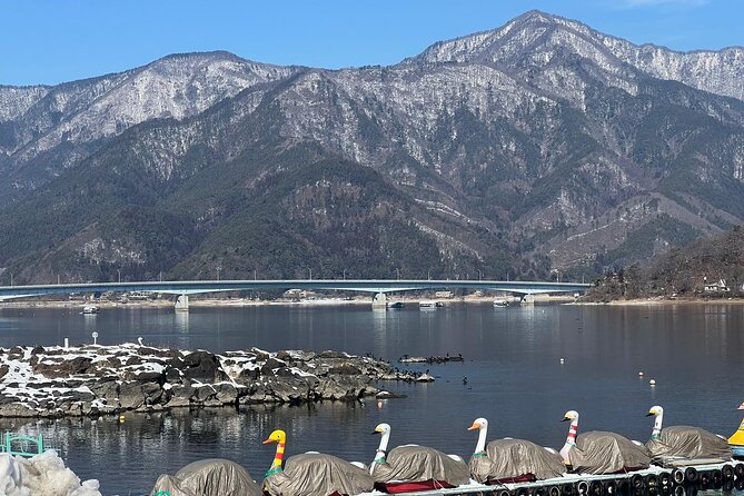 Scenic Day Tour of Hakone and Mount Fuji Private Tour (English) - Tour Experience