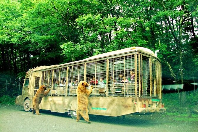 Scenic Day Tour of Hakone and Mount Fuji Private Tour (English) - Traveler Feedback