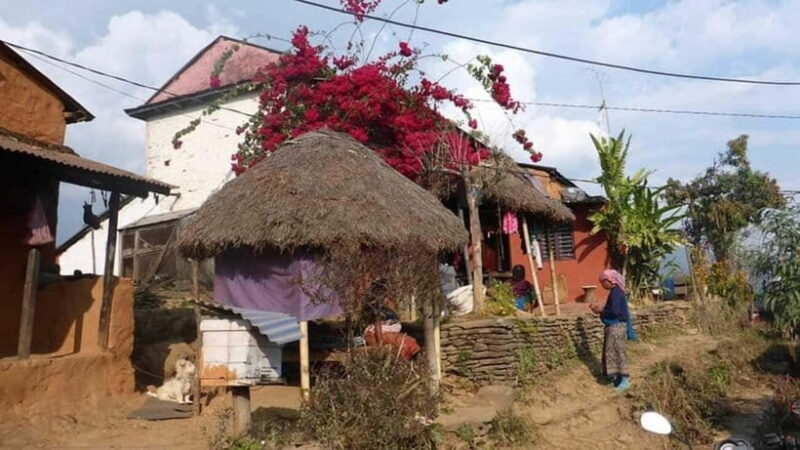 Scenic & Easy: Hike to Australian Base Camp - What Really Sets This Tour Apart