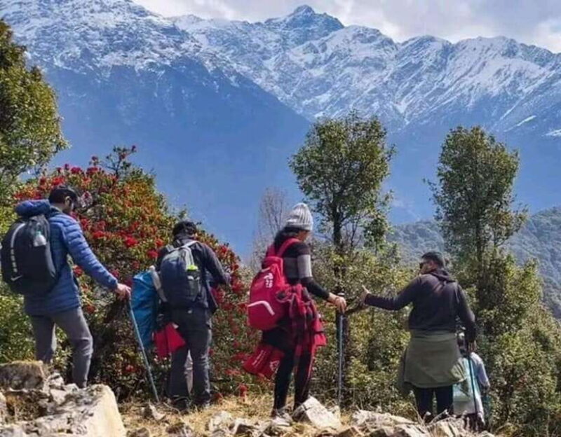 Scenic & Easy: Hike to Australian Base Camp - Practical Tips for Making the Most of Your Hike