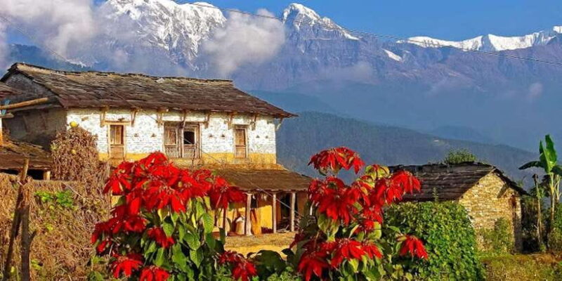 Scenic & Easy: Hike to Australian Base Camp - The Sum Up: Who Will Love This Experience?