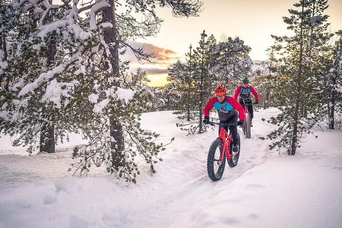 Scenic Electric Fat Bike Group Ride in Rovaniemi - Meeting Information and Logistics