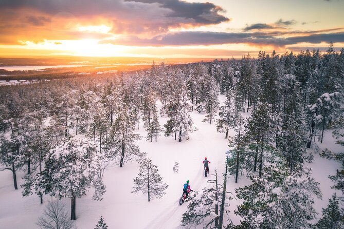 Scenic Electric Fat Bike Group Ride in Rovaniemi - Pedaling Through the Ounasvaara Hill